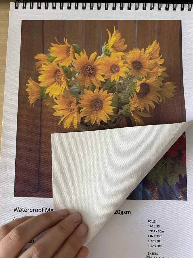 Eco Solvent Inkjet Canvas Pure Cotton Matte 360gsm For Digital Printing